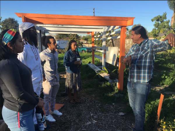 Legal Education for the Climate Crisis: An Interview with Abby Reyes ...